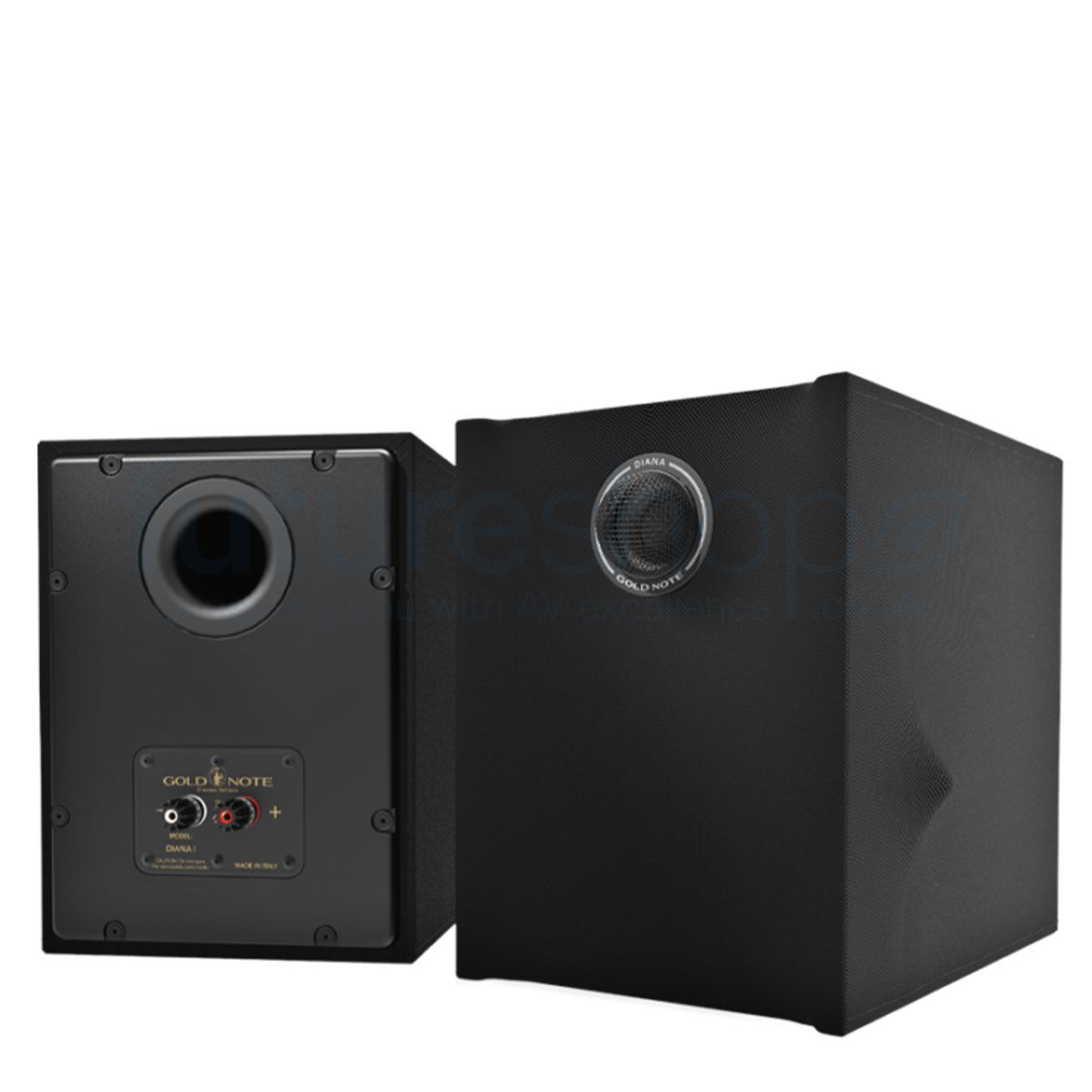 Gold Note Diana I Bookshelf Speakers – Pure Italian Musicality in Compact Form – ExclusivIT